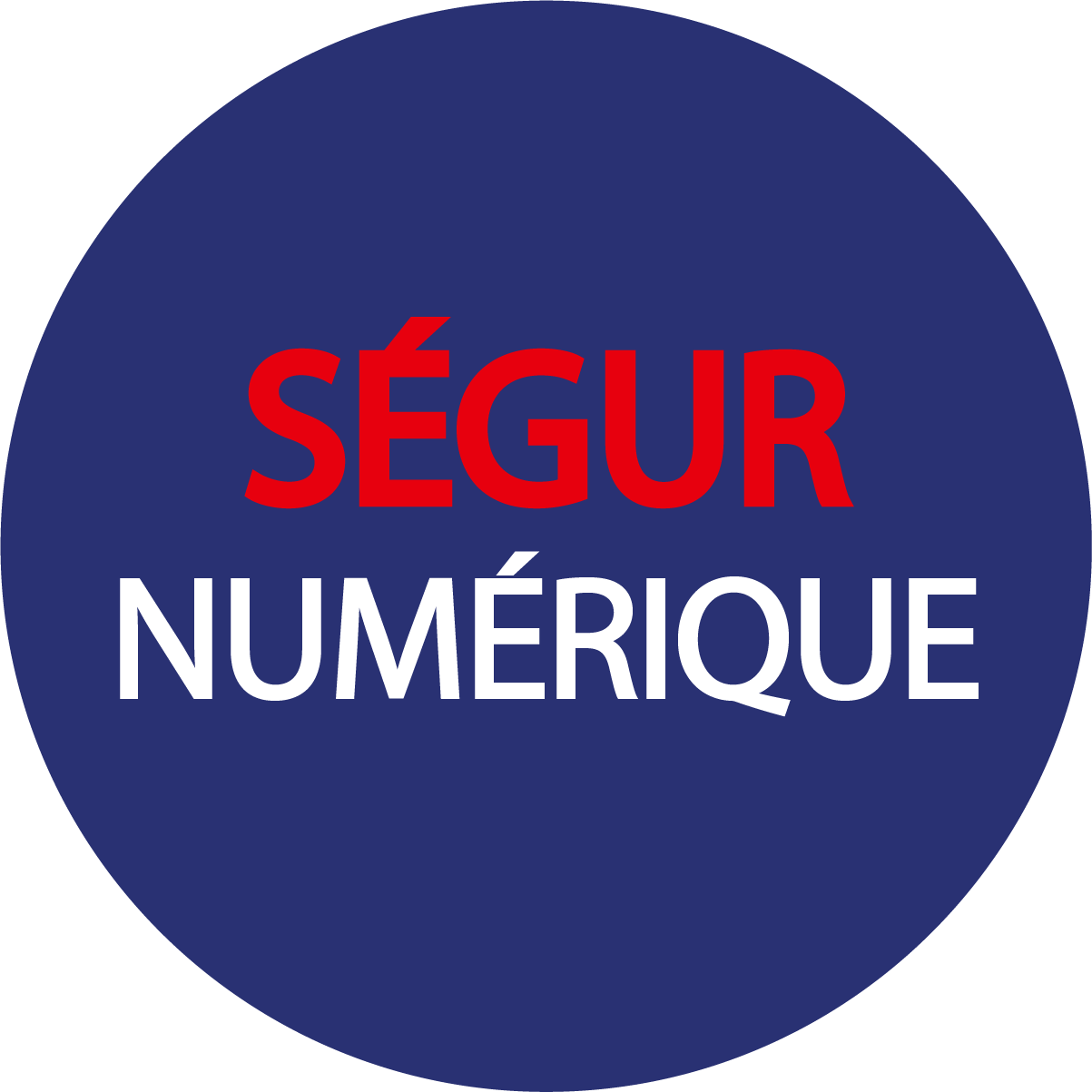 Le SEGUR Numérique - Formation Sesan
