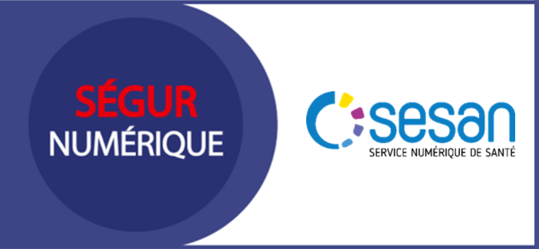 Rôle de SESAN dans le SEGUR numérique - Formation Sesan